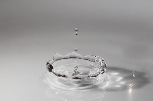 El agua hirvió y salpicó a todos – Los Sabios del Toreo