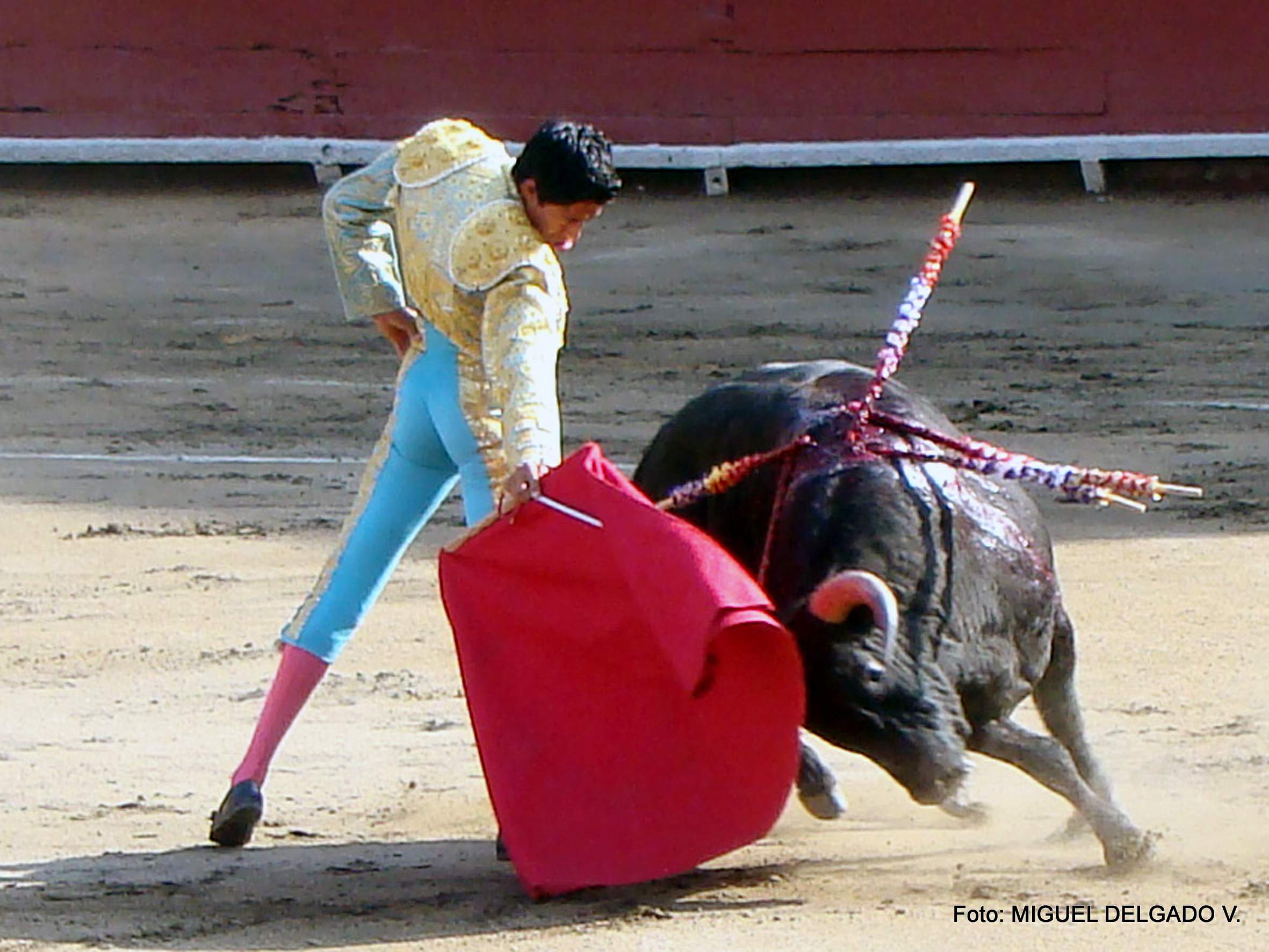 El novillero peruano Morenito de Canta abrió la puerta grande – Los ...