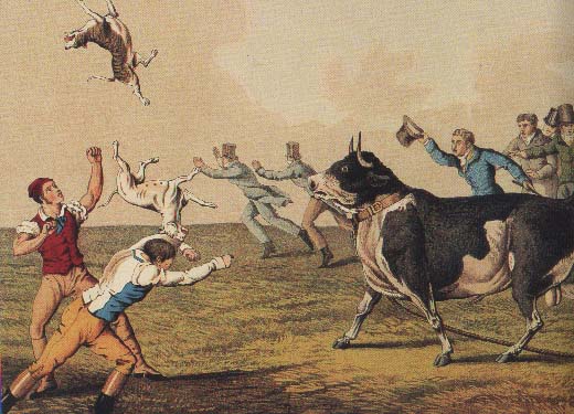 El Perro en los Toros. (Parte III) – Los Sabios del Toreo