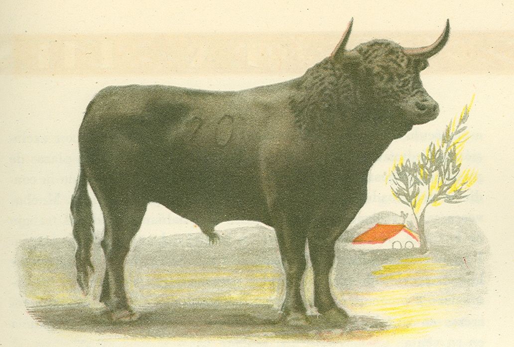 Frases Célebres – Los Sabios del Toreo