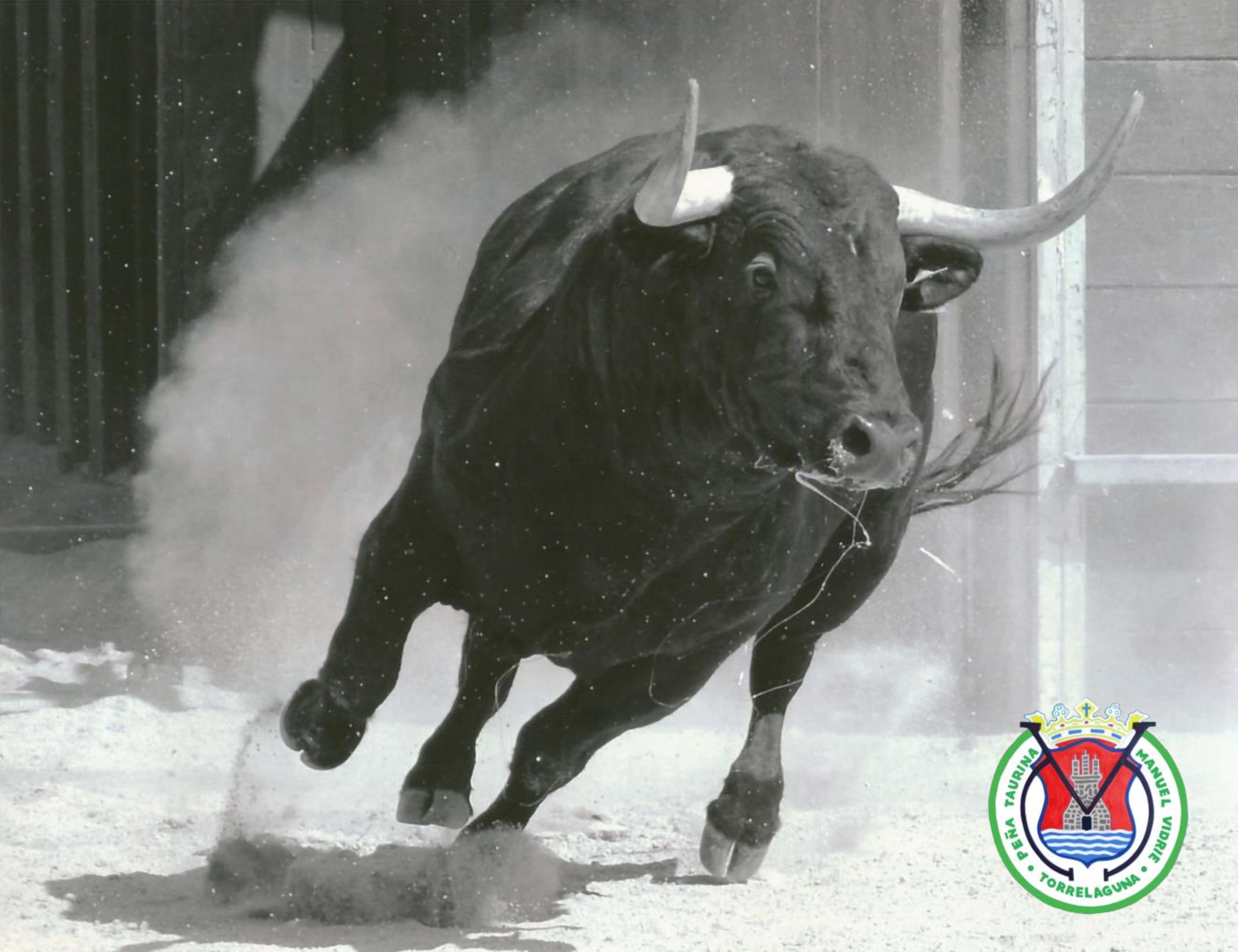 VIII Concurso Fotográfico «Toros en Torrelaguna» – Los Sabios del Toreo