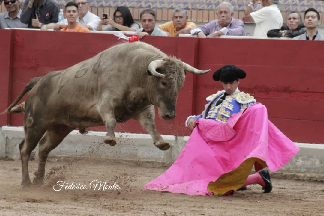 Colombo declarado triunfado de la LIV Feria de San Sebastián 2019 – Los ...