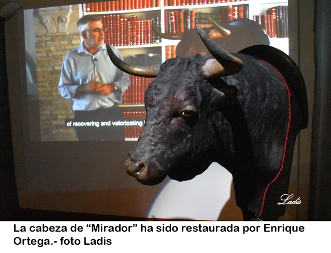 Comienza «Lo Táurico» con la presentación de la cabeza restaurada de ...