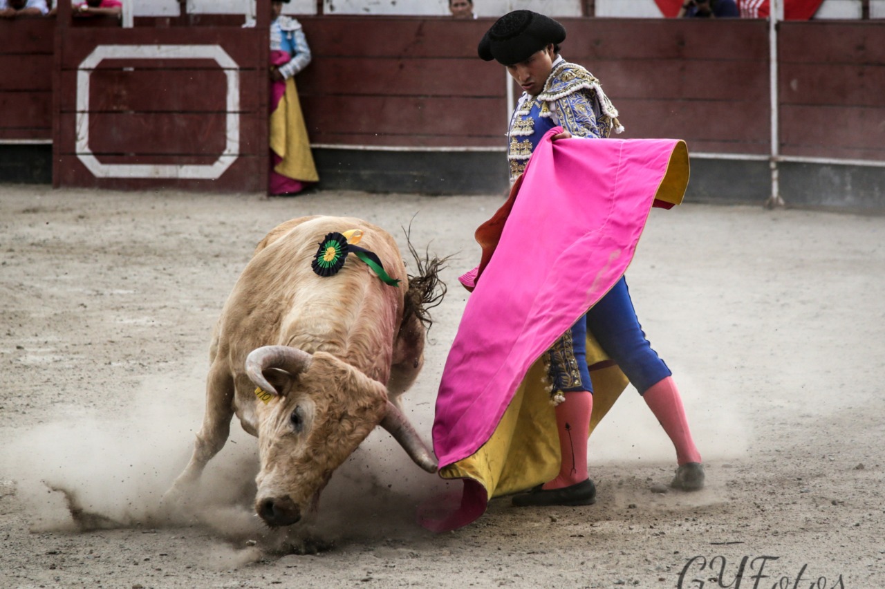 Samuel Calderón a dar la batalla en San Sebastián 2020- Para + info haz ...