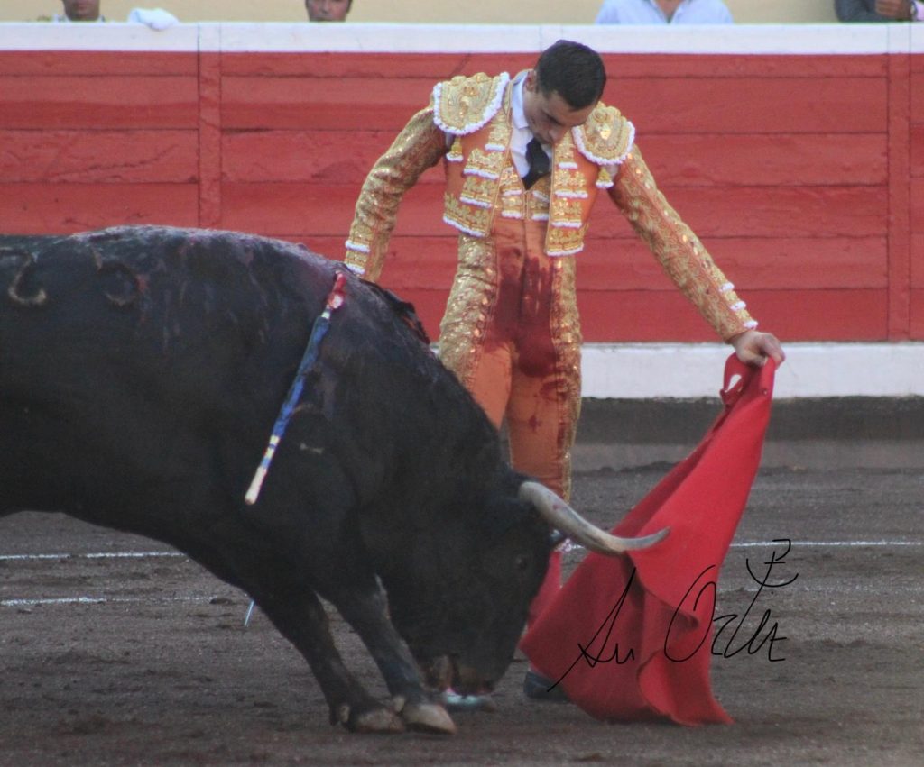 Ninguneo a la verdad del toreo – Para + info haz clic👆 🇪🇸 – Los Sabios ...
