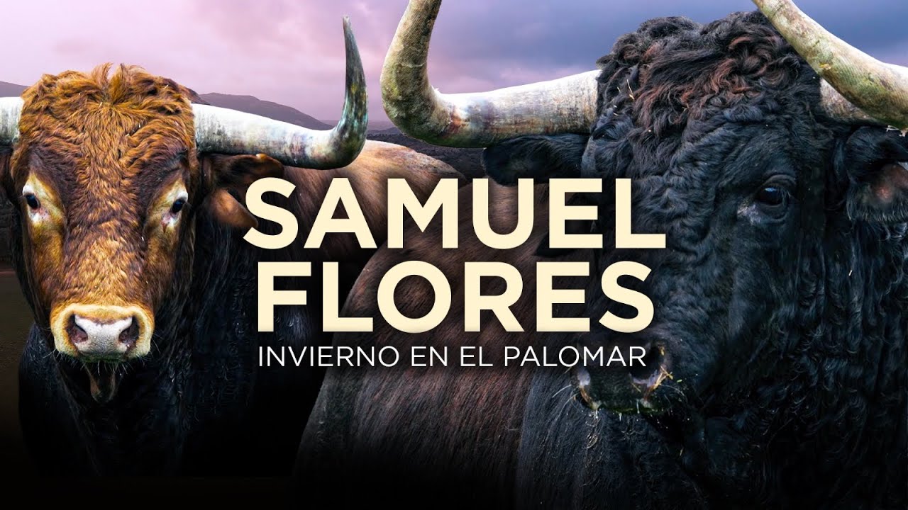 SAMUEL FLORES – Capítulo 1 Nuevas ilusiones (Vídeo) – Para + info haz clic👆 🇪🇸 – Los Sabios del ...
